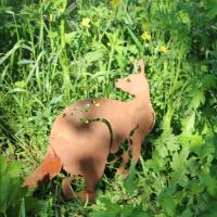 China Corten Steel Yard Metal Embellishments Opossum Shape Easy To Install for sale
