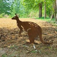China Corten Steel Rust Outdoor Metal Accessories For Garden Decoration Rust-Resistant for sale