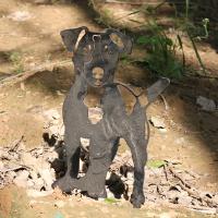 China Weather Resistant Garden Metal Ornaments Decoration Yard Dog Shape for sale