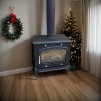 China Assembly Required Wood Burning Fire Pits Cast Iron Construction Indoor Cast Iron Wood Burning Stove for sale