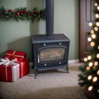 China Assembly Required Wood Burning Fire Pits Cast Iron Construction Indoor Cast Iron Wood Burning Stove for sale