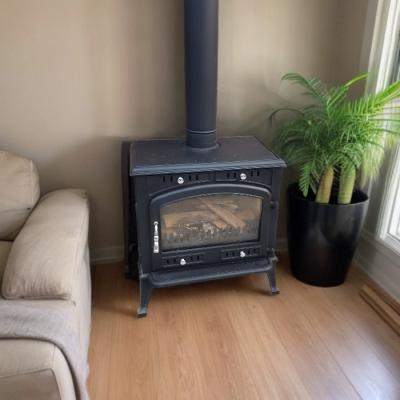 China Custom Wood Burning Fire Pits For Personalized Outdoor Experience Cast Iron Wood Burner for sale