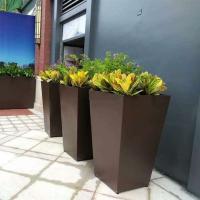 China 1.6mm Or Customized Rust Proof Corten Planter Box For Indoor / Outdoor Planting for sale