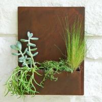 China Wall mounted weathering steel decorative small flower pot for sale