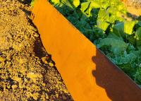 China Rusty Weathering Steel Landscape Edging 3.9 Inch Corten Metal Landscape for sale