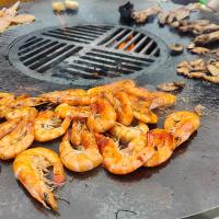 China 23.5 Inch Barbecue Corten Design 500mm Outdoor Wood Burning Bbq Grill for sale