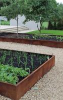 China 3.2FT Corten Steel Garden Edging Bunnings Rusty 39.3 Inch Corten Path Edging for sale