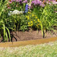 China 3.2FT Corten Steel Garden Edging Bunnings Rusty 39.3 Inch Corten Path Edging for sale