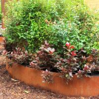 China 1.6mm Core Edge Flexible Steel Lawn Edging Corten SGS Garden Metal Ornaments for sale
