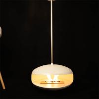 China 1.5L Bio Ethanol Fire Pits Roof Ceiling 26.5kg Suspended Fire Place for sale