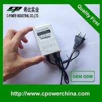 China Excellent Water-proof 12V DC Power Adapter with Output Current of 2000mA in White for sale