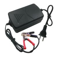 China Temperature Control Compensation Motorcycle and Car Battery Charger Maintainer 12V 1A for sale