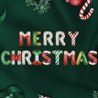 China new product Merry  Xmas party decoration 16