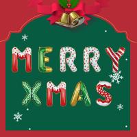China new product Merry  Xmas party decoration 16