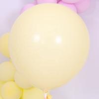 China balloon party decorations 18 inch Birthday Supply helium  baby Macaron Party Latex balloon for sale