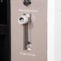 China Healthcare Medical Oxygen Concentrator High Purity Continuous Flow Oxygen Concentrator for sale