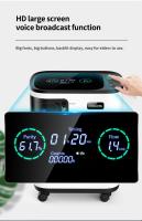 China Accurate Lightweight Portable Oxygen Concentrator High Concentration 3L for sale
