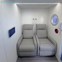 China O2EMENG Double Hard Seat Type Factory Directly Sell Advanced Therapy Equipment High Pressure Hyperbaric Chamber for Medical Use for sale