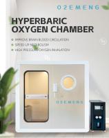 China O2EMENG Double Hard Seat Type Factory Direct China Hyperbaric Oxygen Treatment Anti-Aging Hyperbaric Chamber for Wound Healing for sale