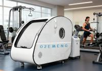 China 10Liter/Min Flow Rate White Medical Oxygen Concentrator for Medical Treatment EMY01 for sale