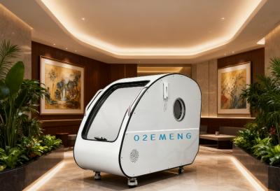 China 28%～32% Chamber Oxygen Concentration Healthcare Oxygen Separator for Oxygen Therapy Equipment for sale