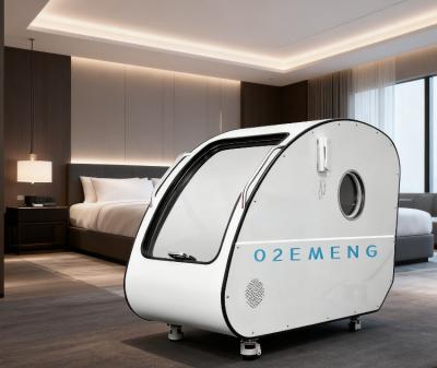 China 220V/50Hz Oxygen Concentration Machine EMY01 Best for Your Business for sale