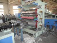 China Decoration WPC Foam Board Machine , Double screw Wpc Profile Production Line for sale