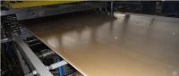 China Construction Template WPC Board Production Line , WPC Construction Board Production Line for sale