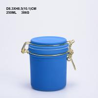 China Airtight Seal Empty Glass Jars 250ML Volume Storage Jars with Clip Lid for sale