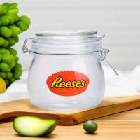 China Customized 500ml Glass Jars Empty Glass Canister With Sealed Lid for sale