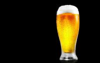 China Premium 570ML Glass Drinking Cups Lager Pilsner Drinking Glasses for sale