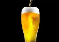 China Premium 570ML Glass Drinking Cups Lager Pilsner Drinking Glasses for sale