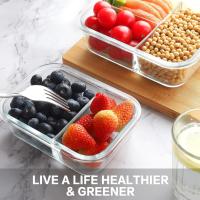 China Non Toxic 500ML Glass Food Storage Containers With Locking Lids Leak Proof for sale