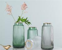 China Transparent Glass Vase Decor Modern Decorative Flower Holder Home Office Display for sale