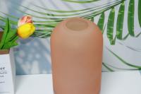 China Modern Glass Vase for Holding Flowers Decorative Centerpiece for Home and Office for sale