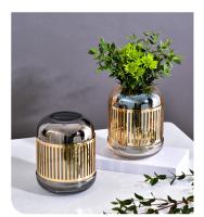China Modern Glass Vase For Home And Office Decoration Transparent Flower Holder for sale