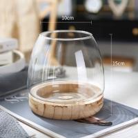 China H10 CM Transparent Global Glass Vase Perfect for Holding Flowers Fish Bowl for sale
