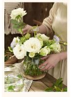 China H10 CM Transparent Global Glass Vase Perfect for Holding Flowers Fish Bowl for sale