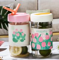 China 380 ML  Glass Tumbler with Straw and Lid for Loose Leaf Flower Herbal Tea for sale