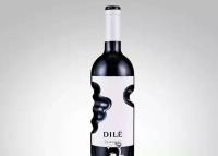 China 750ml Empty Glass Wine Bottles With Cork Creative Decoration For Champagne for sale