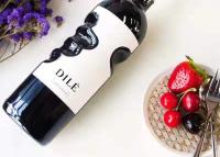 China 750ml Empty Glass Wine Bottles With Cork Creative Decoration For Champagne for sale