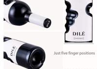 China 750ml Empty Glass Wine Bottles With Cork Creative Decoration For Champagne for sale