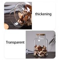 China 3800ml Wide Mouth Blown Borosilicate Glass Storage Tank for sale