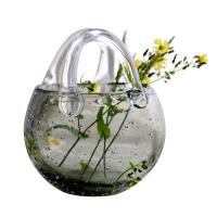 China Transparent Custom Hemispherical Glass Flowerpot for sale