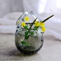 China Transparent Custom Hemispherical Glass Flowerpot for sale