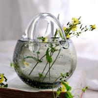 China Transparent Custom Hemispherical Glass Flowerpot for sale