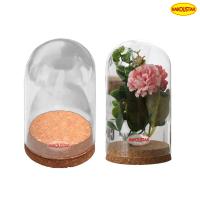 China Hand Blown Borosilicate Eternal Life Flower Glass Cover for sale