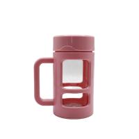 China Office Insulated Thermos Personalized Glass Cup 480ml Heat Resistant for sale