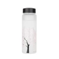 China Web Celebrity Fresh Color Changing Glass Beverage Bottles 600ml for sale