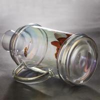 China OEM ODM Luxury Glass Cooling Water Bottle 34 Oz Magic Color for sale